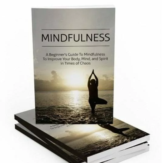 Mindfulness Ebook Dsdt College Ecampus